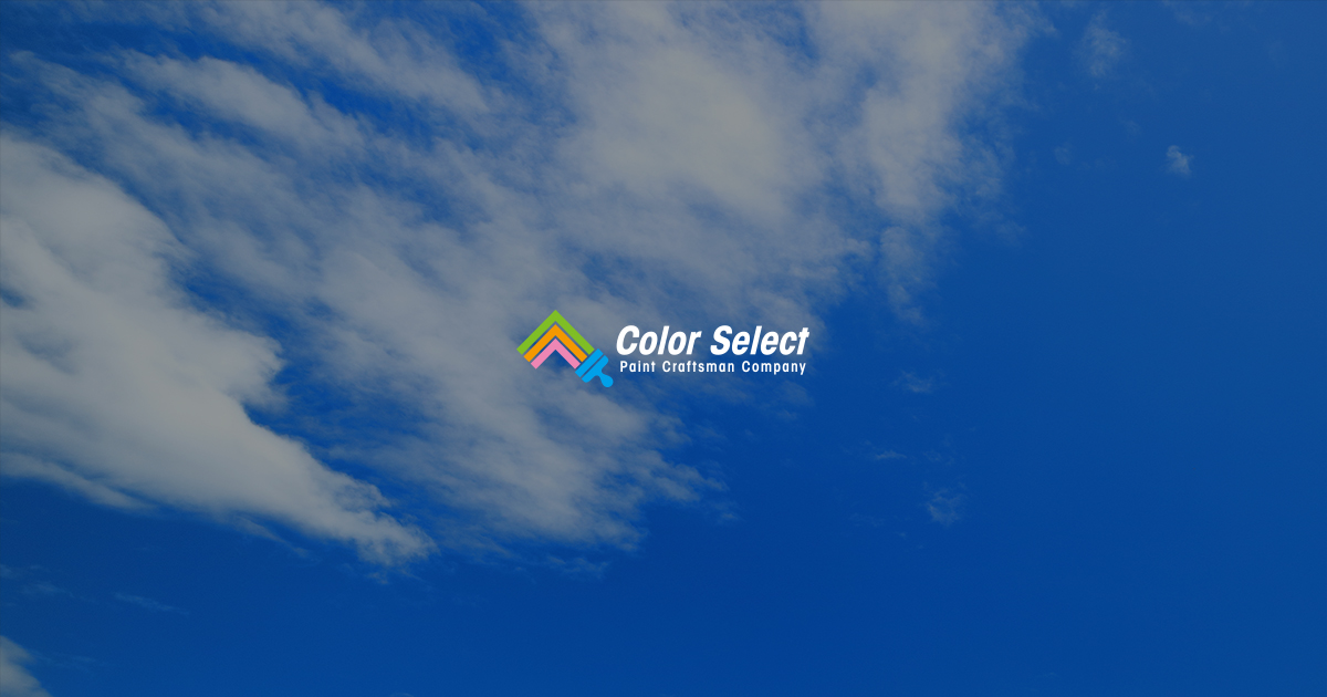 Company｜「Color Select」｜鹿児島県霧島市